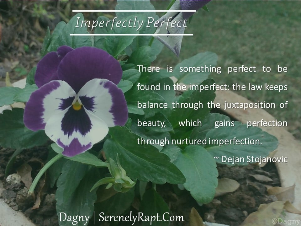 Imperfectly Perfect – Serenely Rapt
